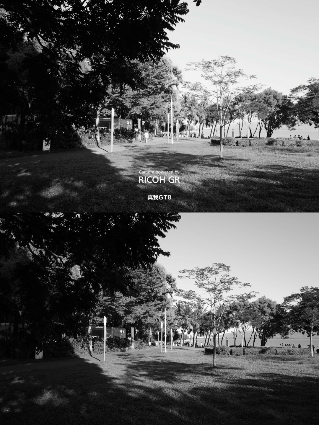 真我GT8联名理光影像系统，到底能有GR的几成功力？海量样张实拍对比_安卓手机_什么值得买